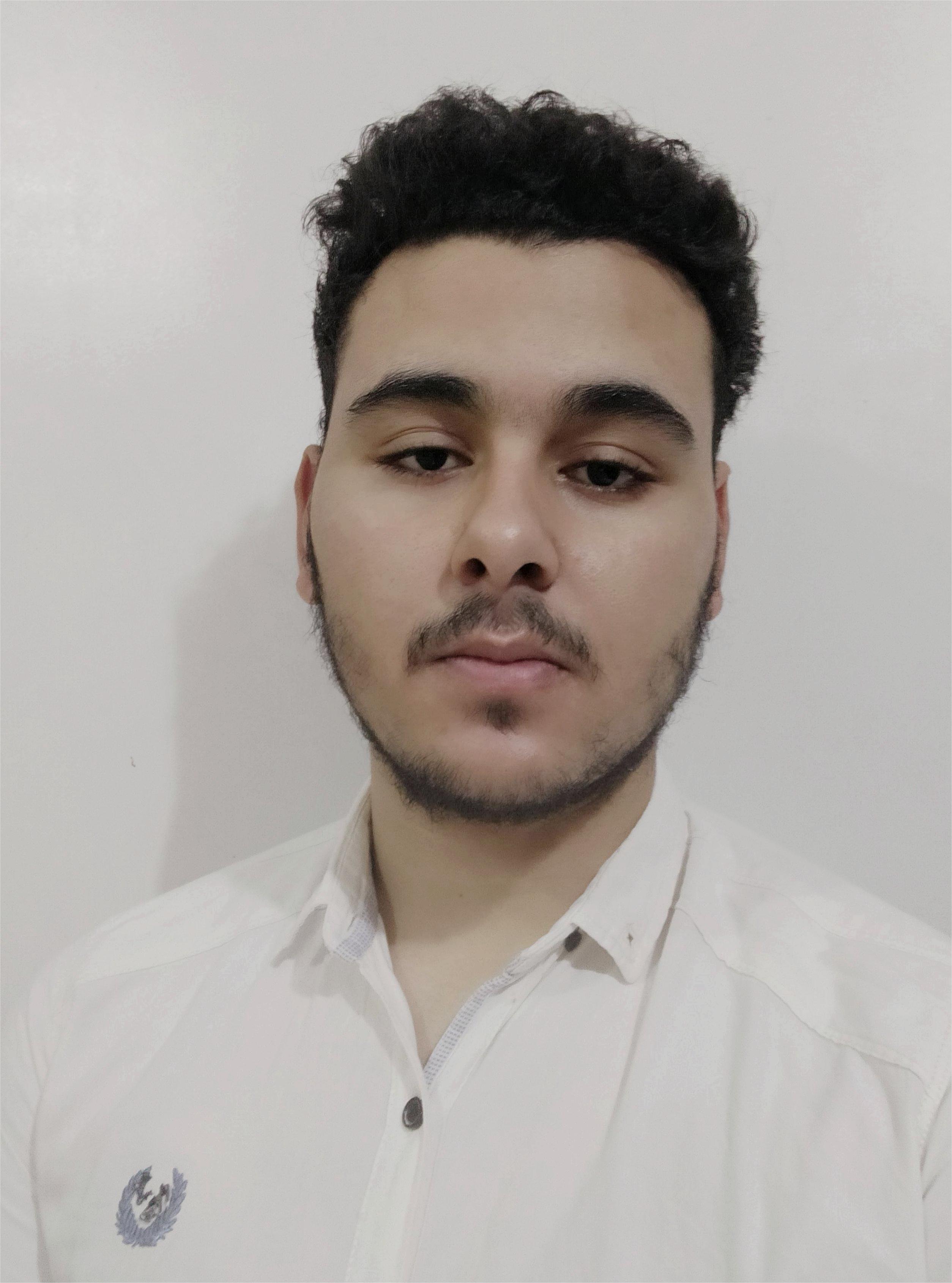 Ahmed Sayed Ahmed - Data Analyst